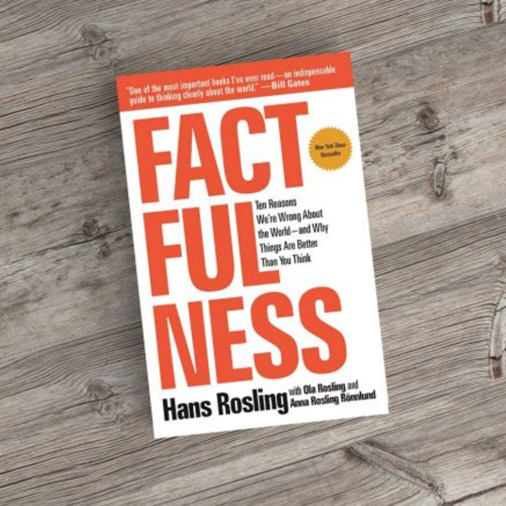 Book Review: Factfulness by Hans Rosling – Meadows Cozy Corner