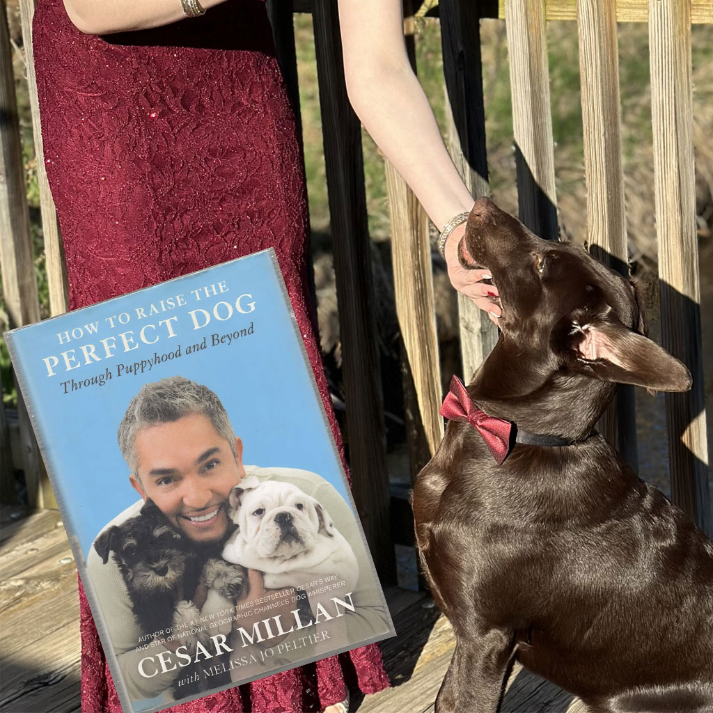 Book Review: How to Raise the Perfect Dog by Cesar Millan – Meadows ...